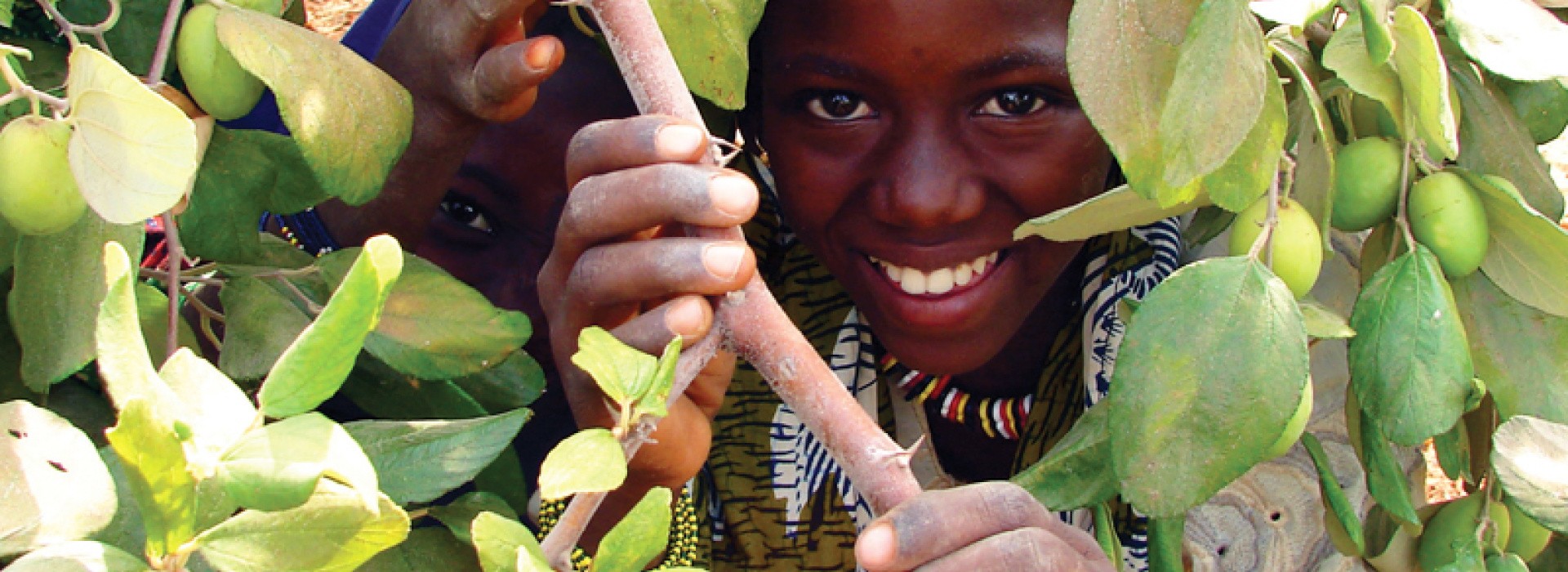 Vacancy Announcement: Administration Consultant(s), CGIAR IAES (Rome ...